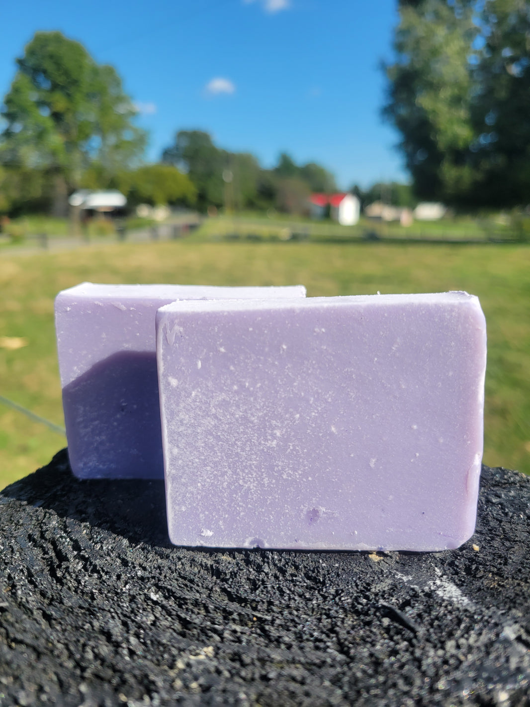 Goat Milk Soap and other Handmade, Natural Skin Care Products – Crazy ...